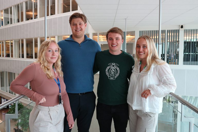 Sommerjobb i Tripletex | Utvikler og UX-designer internship